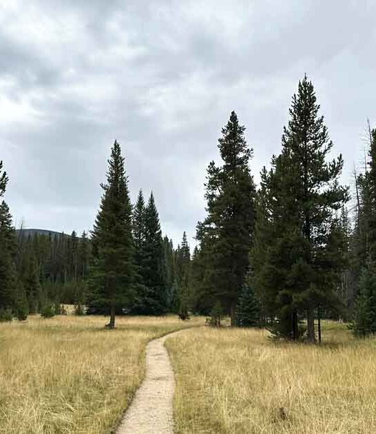 colorado abandoned town trail ftr