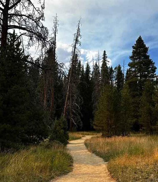 colorado ghost town trail ftr