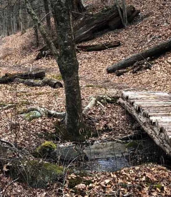 connecticut beautiful hidden loop ftr
