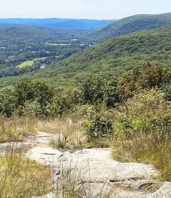 connecticut breathless trail best ftr