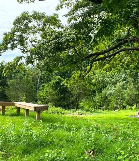 connecticut discover quiet preserve ftr