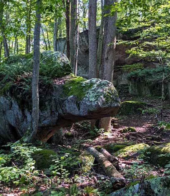 connecticut explore breathtaking forest ftr