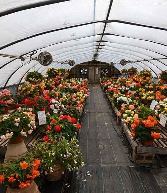 connecticut garden breathtaking blooms ftr