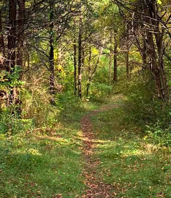 connecticut loop trail escape ftr