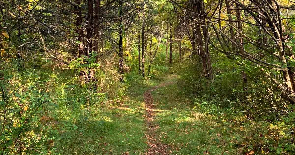 You'll Feel Miles Away From Everything On This Connecticut Loop Trail