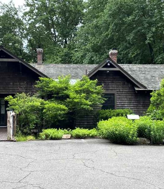 connecticut magical songbird sanctuary ftr