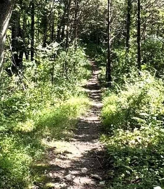 connecticut peaceful loop trail ftr