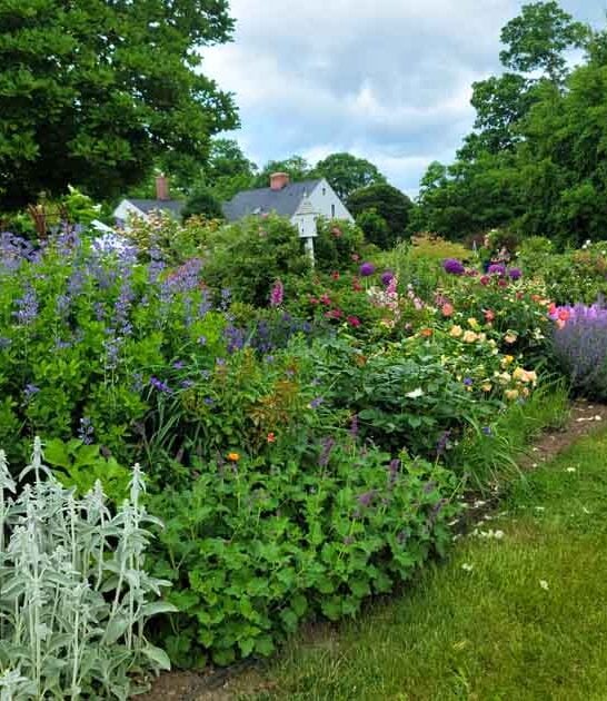 connecticut plant lovers trip ftr