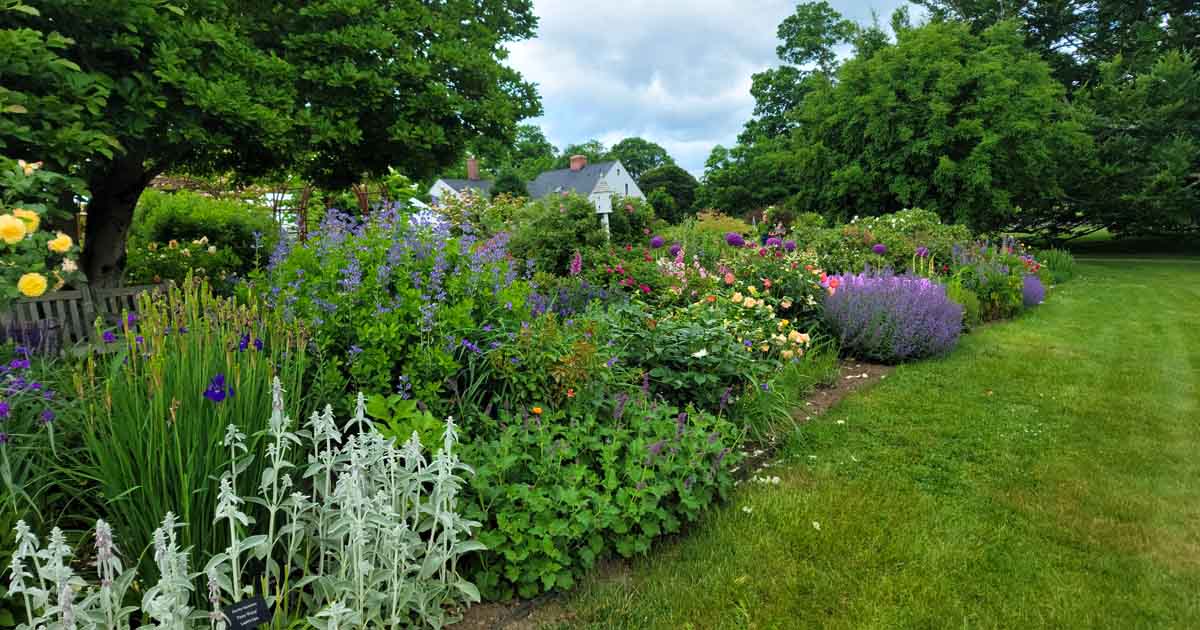 This Connecticut Day Trip Is A Dream Come True For Plant Lovers, Hikers ...