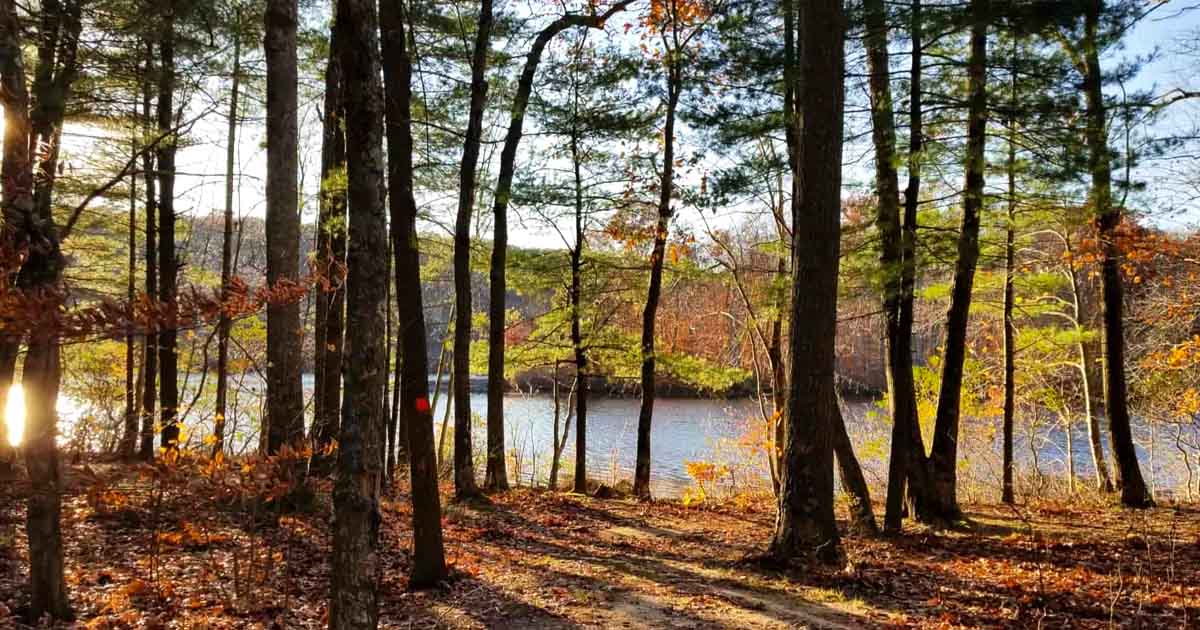 This Sprawling Connecticut Forest Is A Nature Lover's Paradise