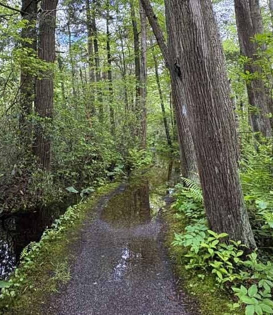 connecticut state park wilderness ftr