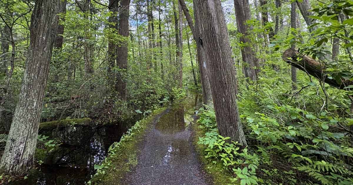 This Secret Connecticut State Park Is Like Having Your Own Private ...