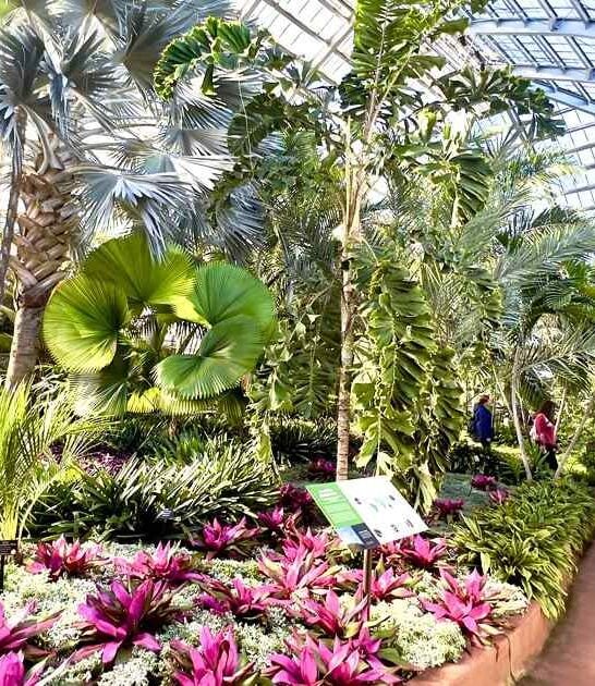 conservatory illinois trip destination ftr