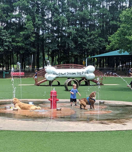 country dog park georgia ftr