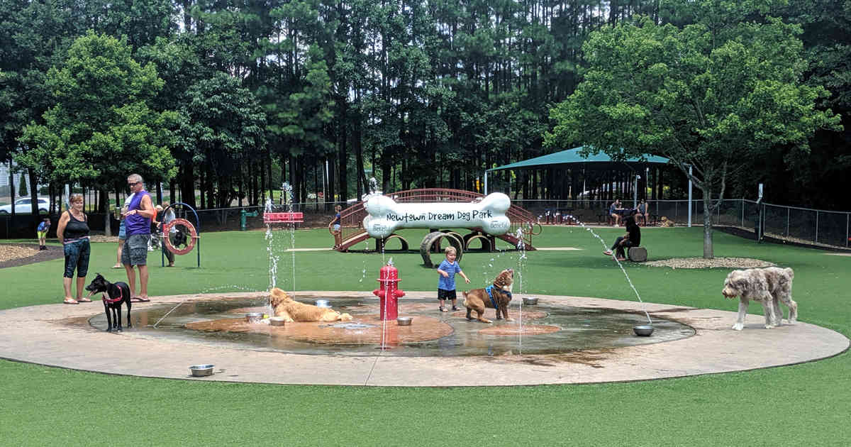 The Best Dog Park In The Country Might Just Be In Georgia