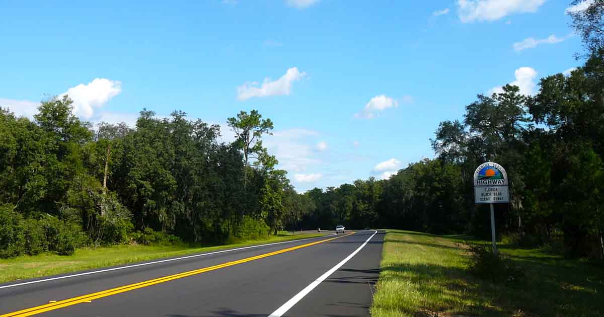 These 11 Country Roads Will Show You A Side Of Florida You Never Knew Existed