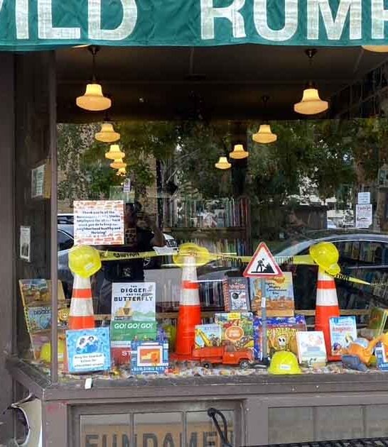coziest little bookstore minnesota ftr