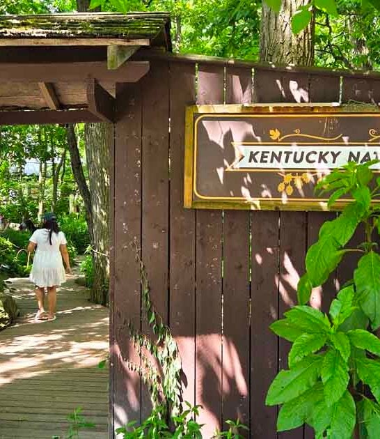 cozy kentucky restaurant worth ftr