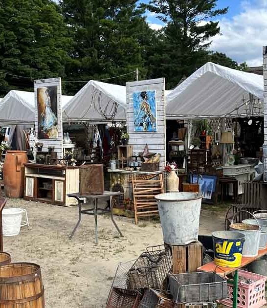 crazy flea market massachusetts ftr