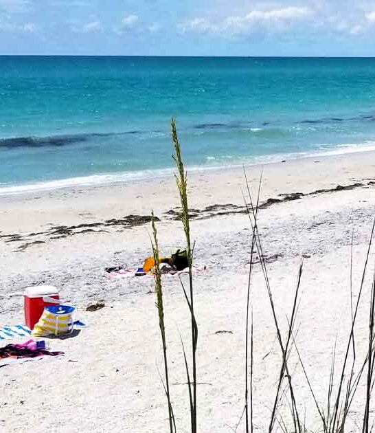 crowds secluded florida beach ftr