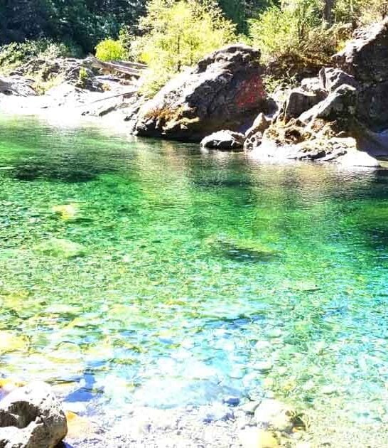 crystal clear river oregon ftr
