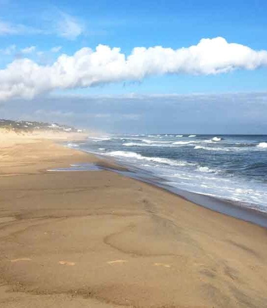 dazzling beach new york ftr