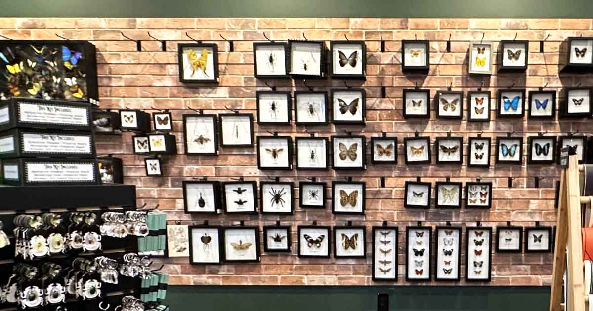 Most People Don't Know About This Delightfully Creepy Shop In Arizona