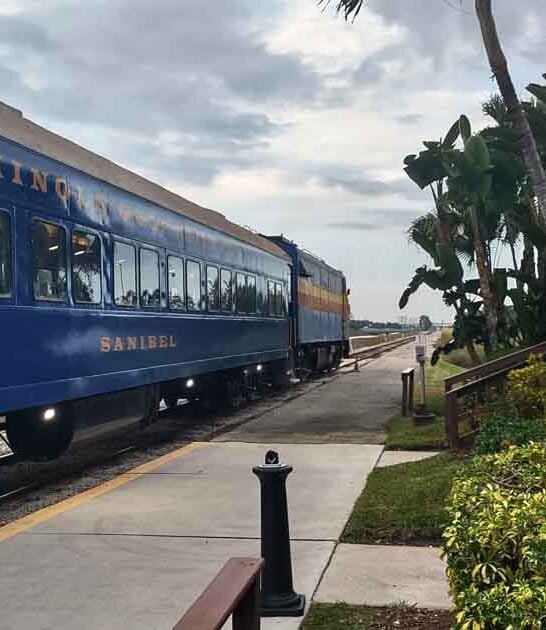 dinner train florida mystery ftr