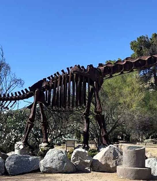 dinosaur museum california magic ftr
