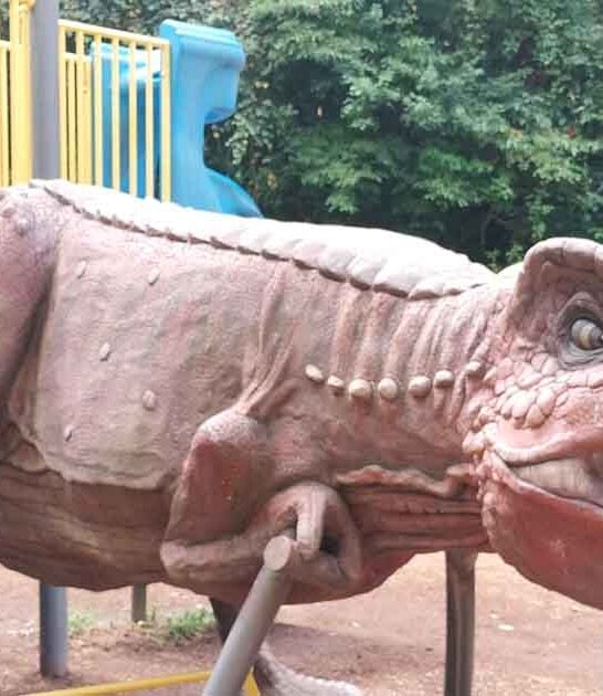 dinosaur playground north carolina ftr