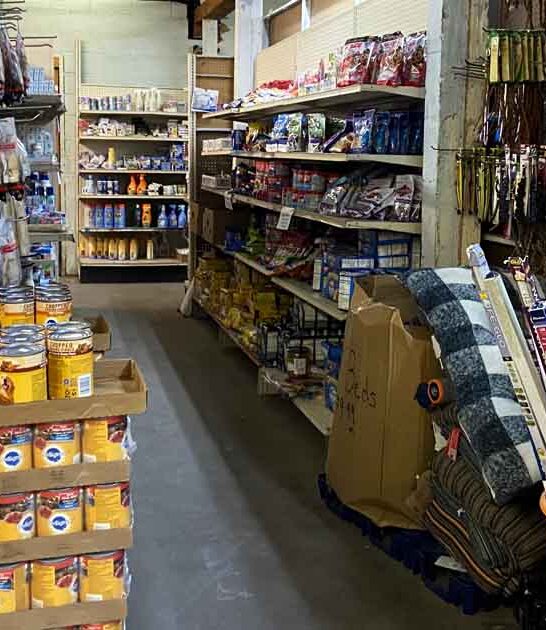 discount store minnesota incredible ftr