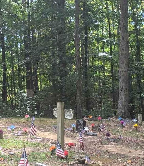 dog cemetery alabama wonderful ftr