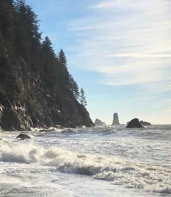 dreamlike beach washington ftr