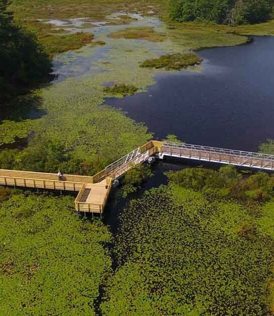 dreamy boardwalks massachusetts sanctuary ftr