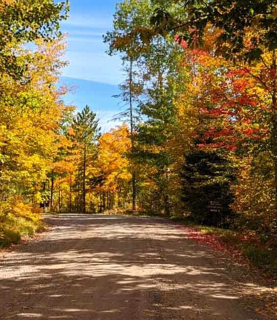 dreamy minnesota underappreciated park ftr