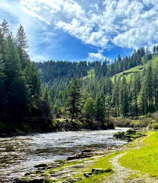 dreamy oregon park secluded ftr