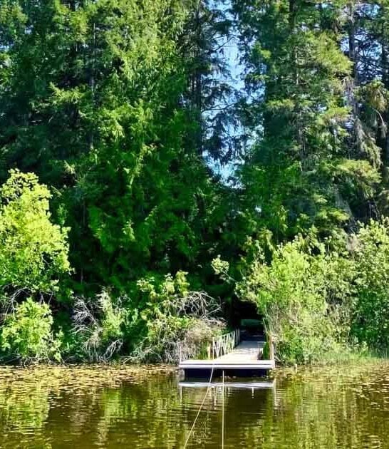 dreamy private island washington ftr