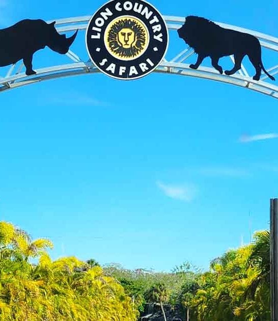 drive thru safari florida ftr