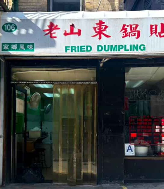 dumpling stand new york ftr