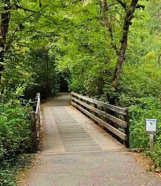 effortless mile stroll oregon ftr