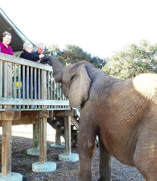 elephant ranch california breakfast ftr