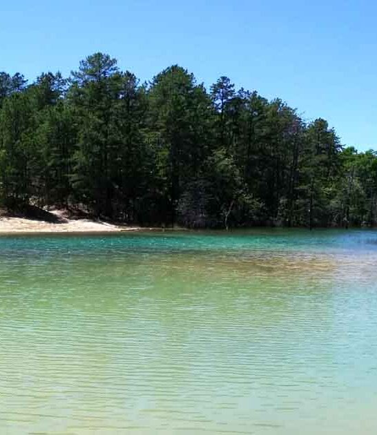 emerald lagoon new jersey ftr