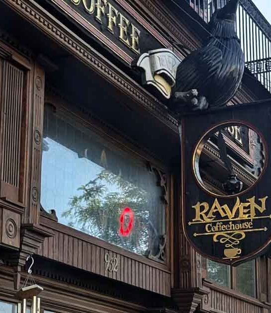 enchanting book cafe michigan ftr