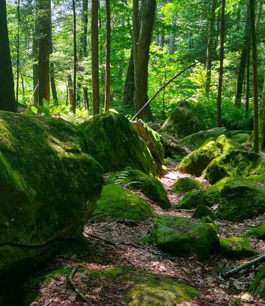 enchanting connecticut town park ftr