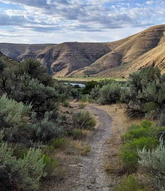 enchanting oregon state park ftr