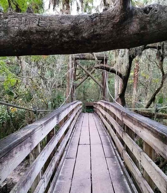 enchanting park florida state ftr