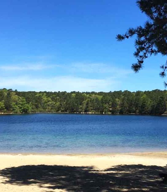 enchanting pond massachusetts clearest ftr