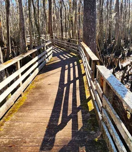 enchanting south carolina park ftr