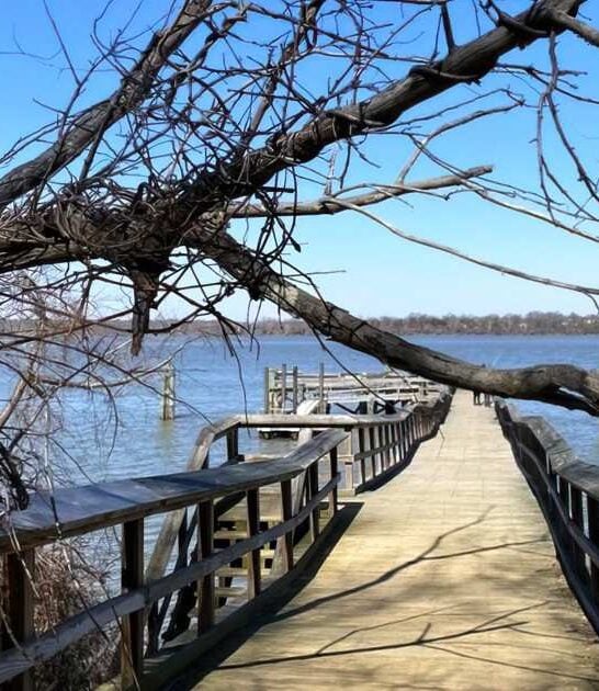 enchanting trail maryland ftr
