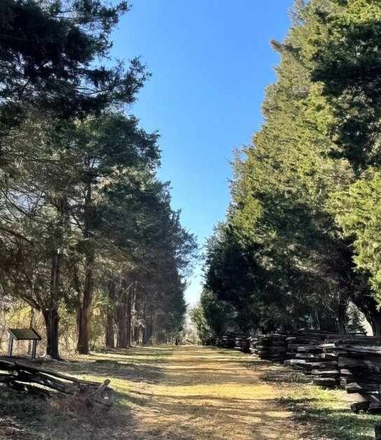 enchanting trail maryland speechless ftr